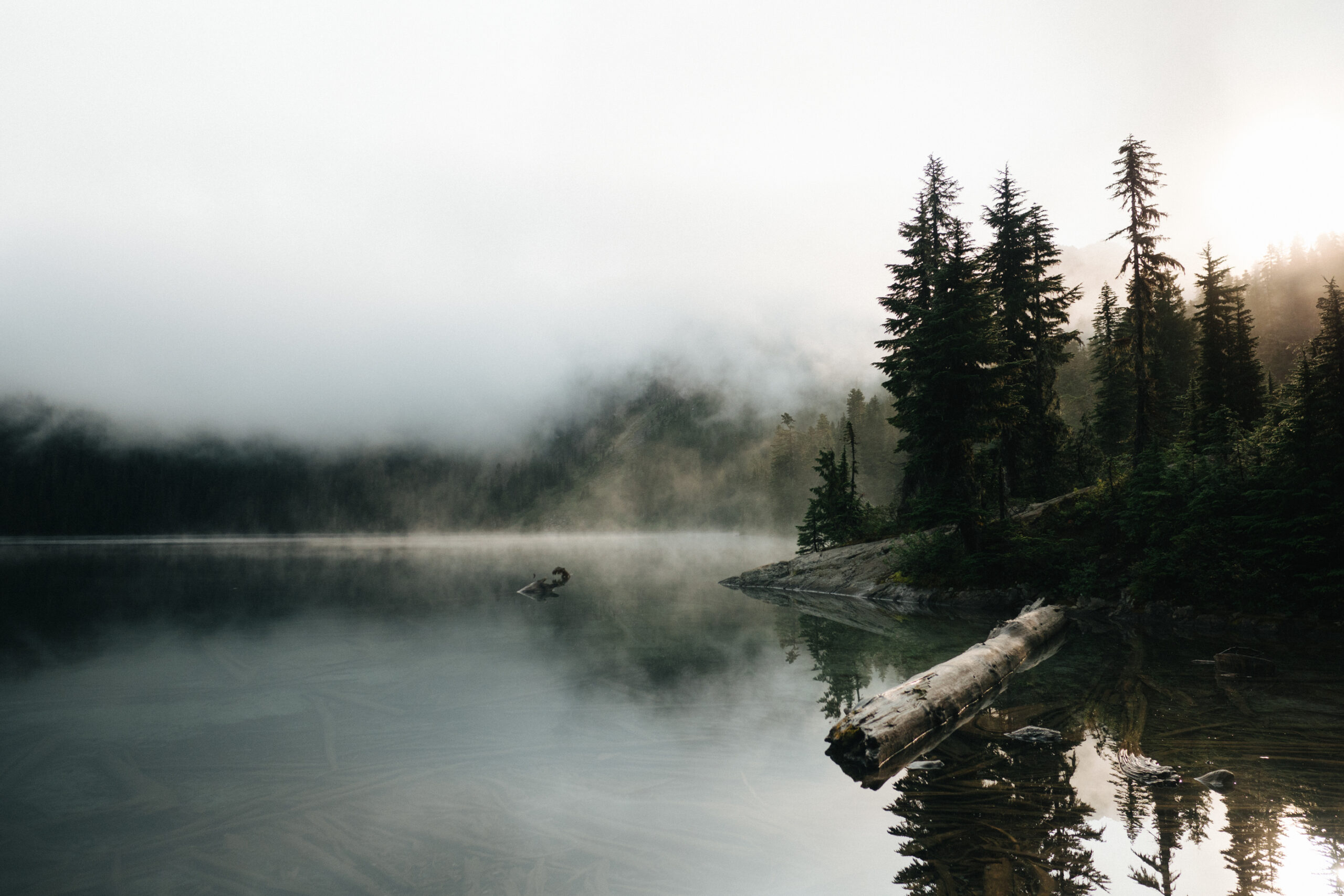 Without Forgiveness, Nothing Else is Possible - Founders Ministries